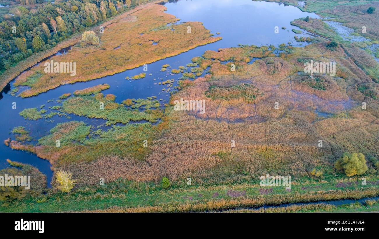 Aerial drone view of Milicz ponds in Poland Stock Photo - Alamy