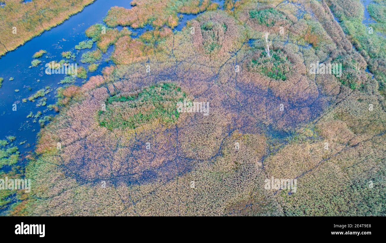 Milicz fish ponds hi-res stock photography and images - Alamy