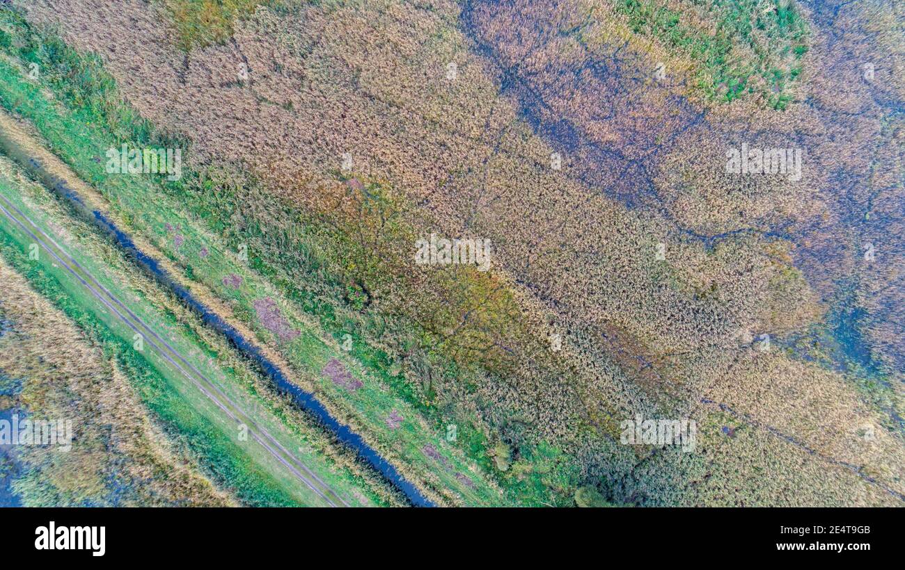 Milicz fish ponds hi-res stock photography and images - Alamy