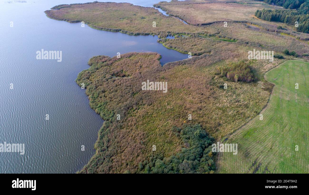 Aerial drone view of Milicz ponds in Poland Stock Photo - Alamy