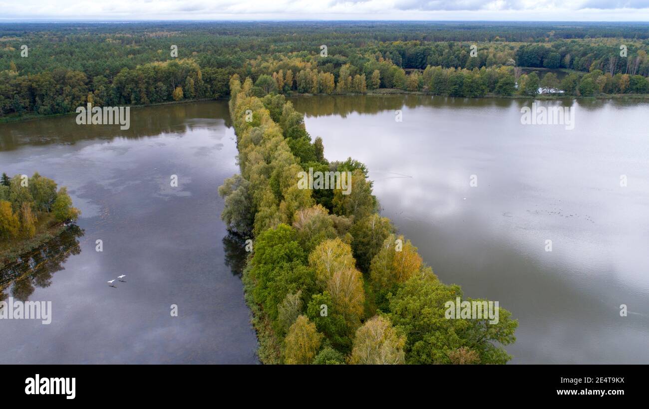 Milicz ponds nature reserve hi-res stock photography and images - Alamy