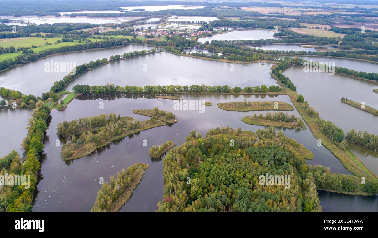 Aerial drone view of Milicz ponds in Poland Stock Photo - Alamy