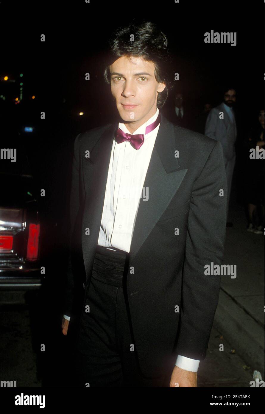 Rick Springfield 1982 Credit: Ralph Dominguez/MediaPunch Stock Photo ...