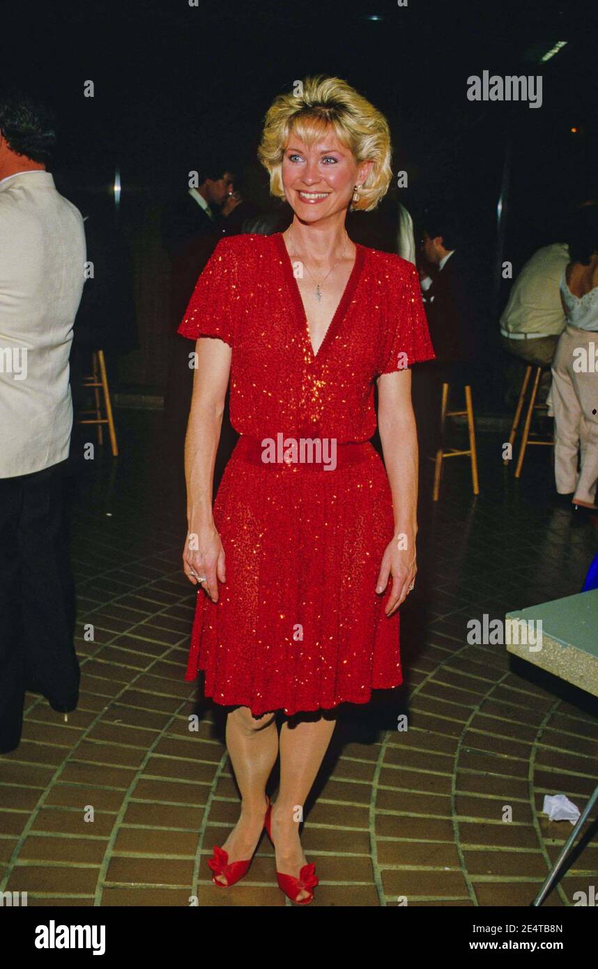 Dee Wallace 1987 Credit: Ralph Dominguez/MediaPunch Stock Photo - Alamy