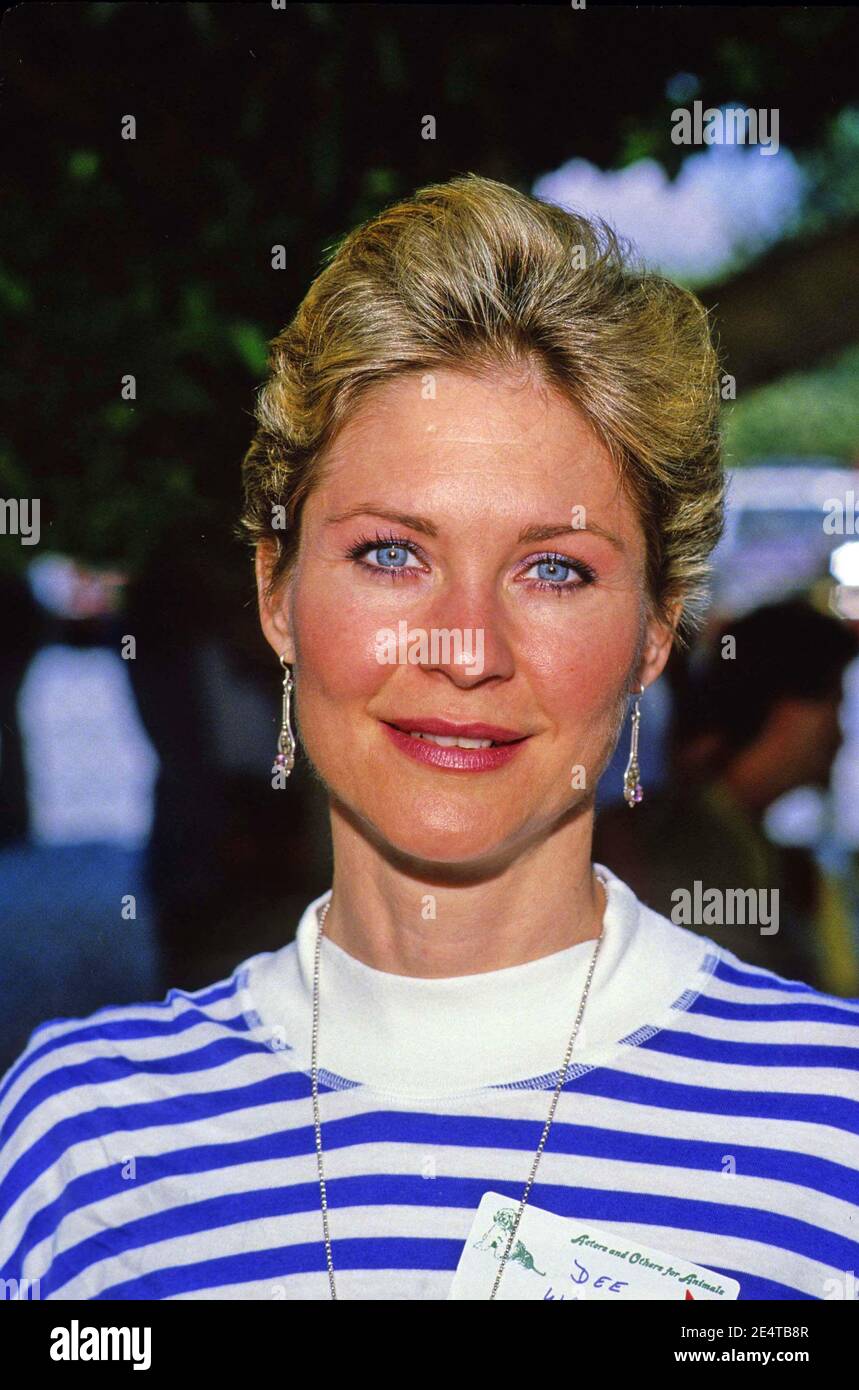 Dee Wallace Credit: Ralph Dominguez/MediaPunch Stock Photo - Alamy