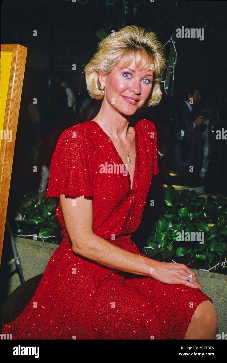 Dee Wallace 1987 Credit: Ralph Dominguez/MediaPunch Stock Photo - Alamy
