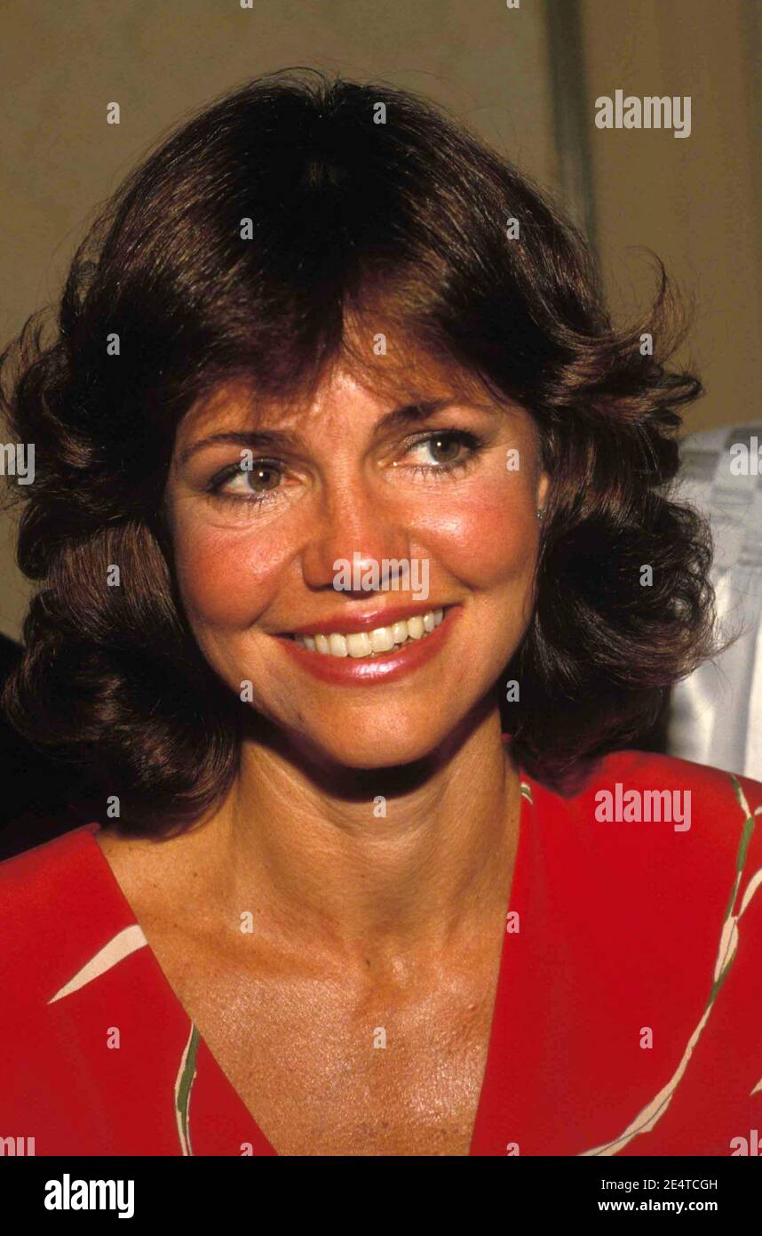 Sally Field 1986 Credit: Ralph Dominguez/MediaPunch Stock Photo - Alamy