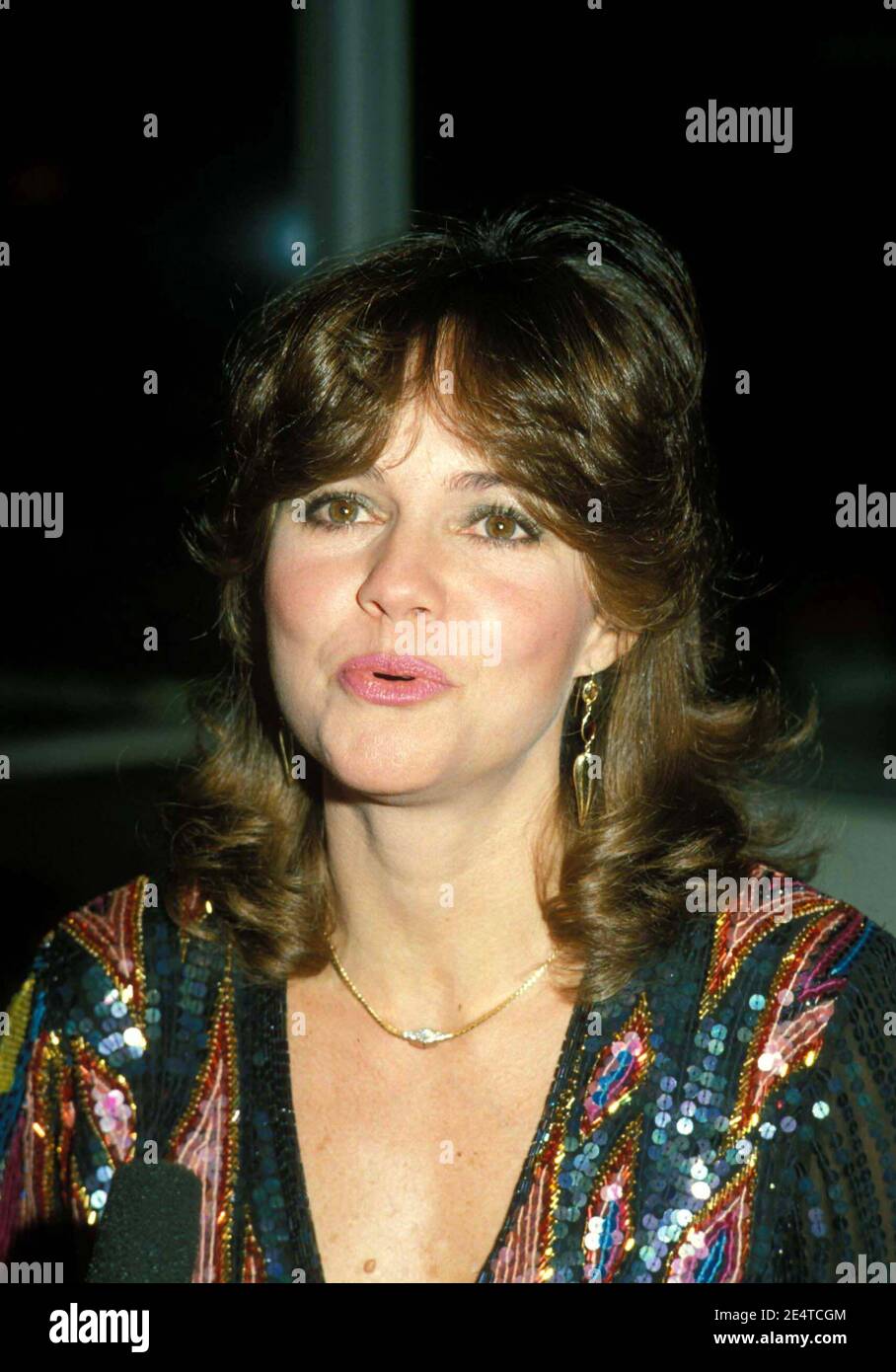 Sally Field 1981 Credit: Ralph Dominguez/MediaPunch Stock Photo - Alamy
