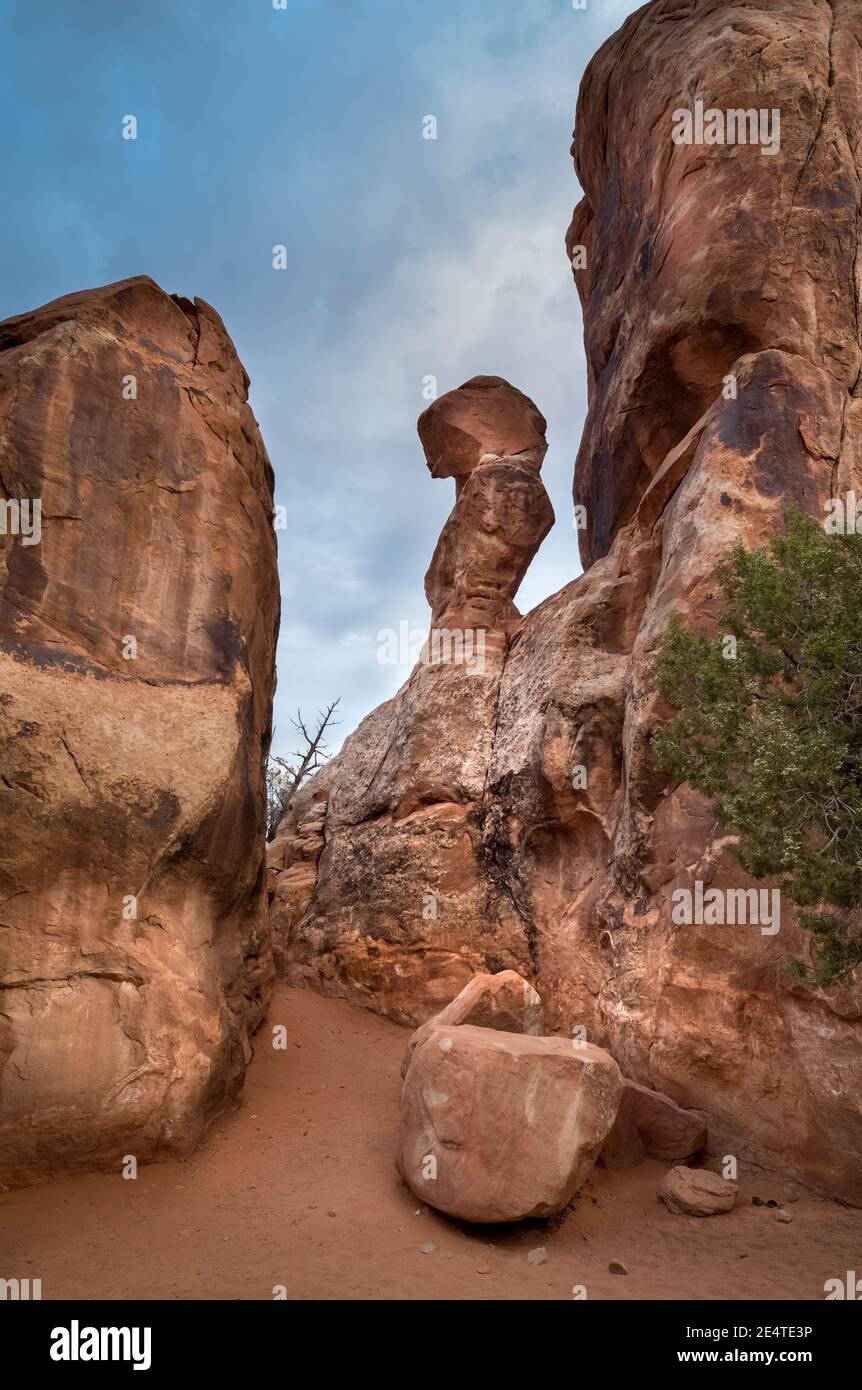 DEVILS GARDEN ARCHES NATIONAL PARK MOAB UTAH Stock Photo - Alamy