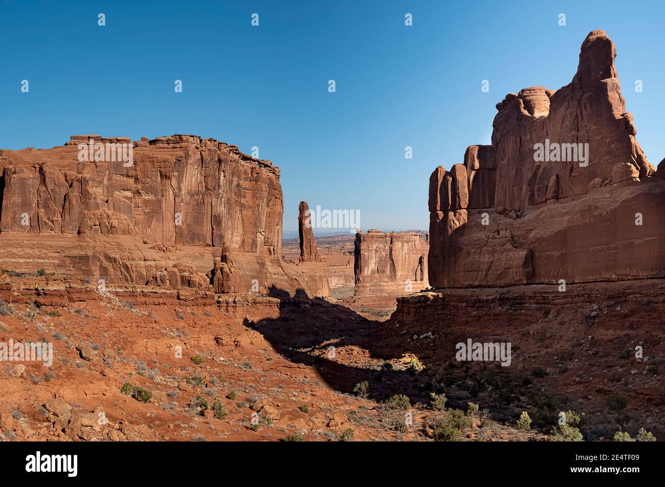 Moab utah cactus hi-res stock photography and images - Alamy