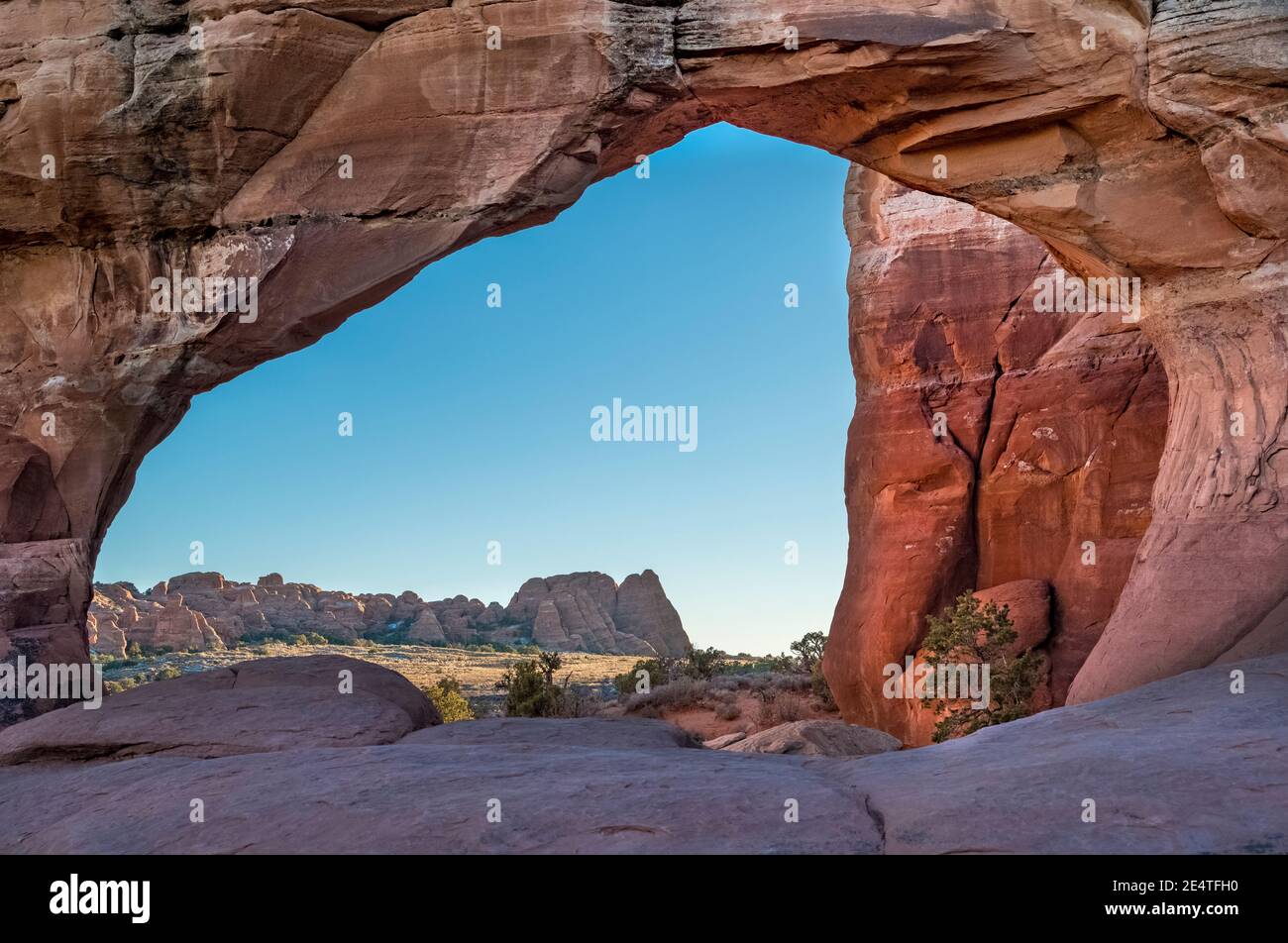 Broken cactus hi-res stock photography and images - Alamy