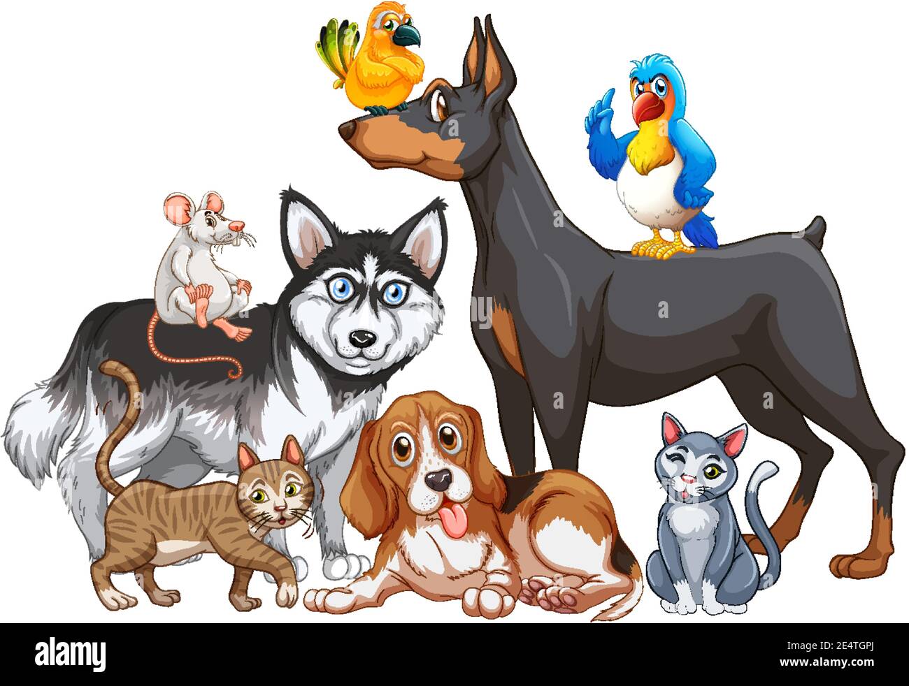 Group of pet on white background illustration Stock Vector Image & Art ...