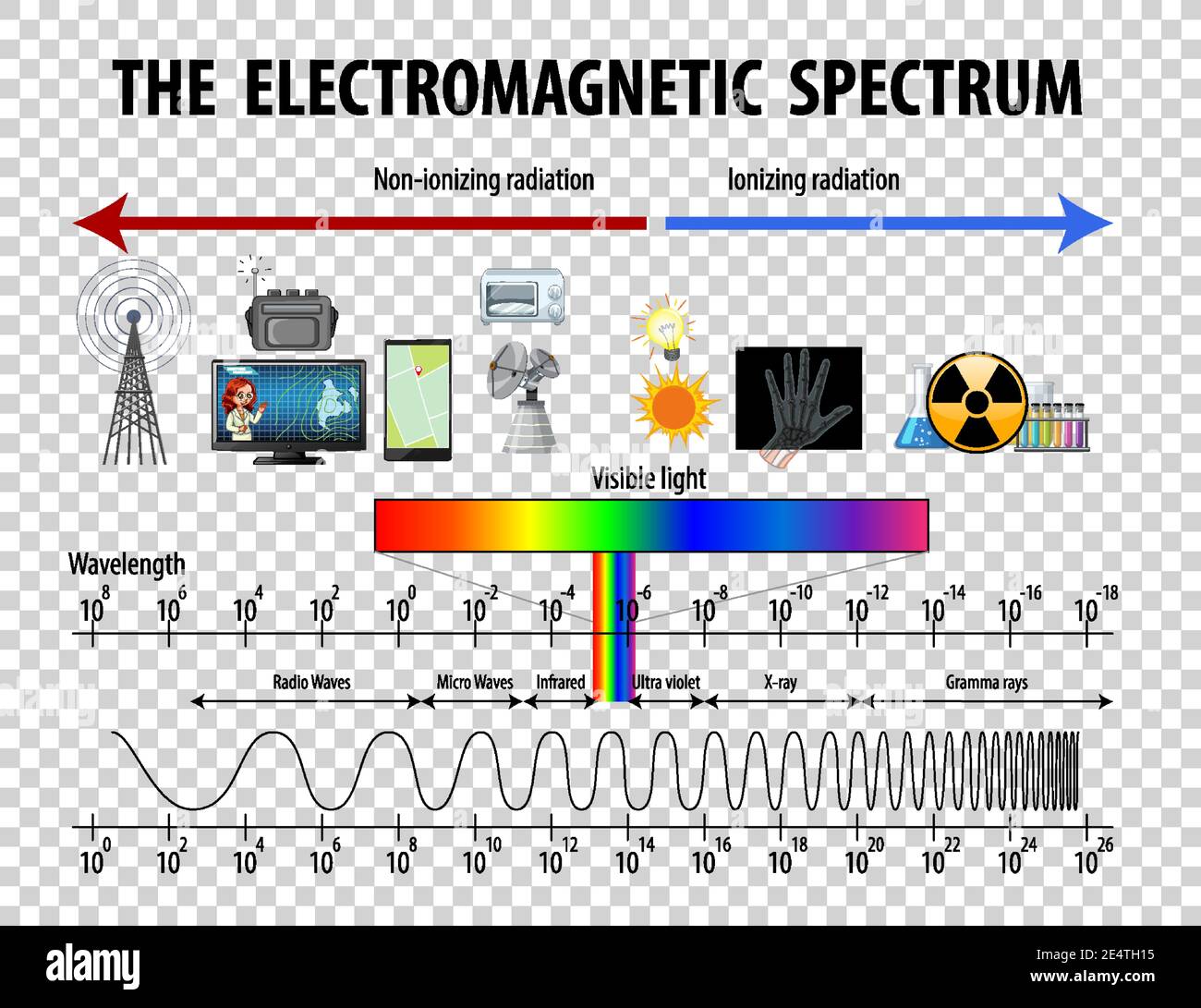 Science Electromagnetic Spectrum diagram on transparent background ...