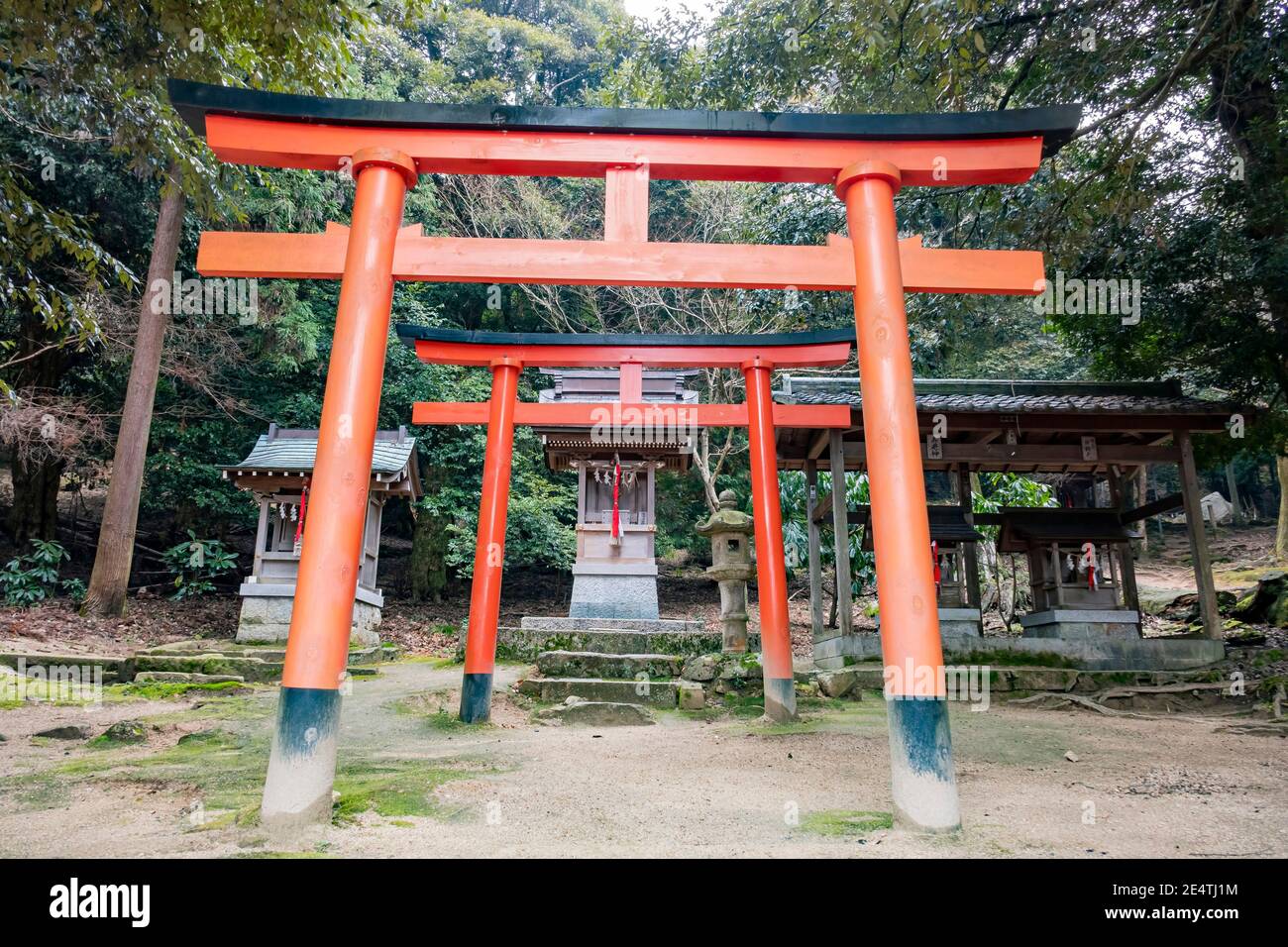Big entrance Torii of the famous Shirahige Shrine at Japan Stock Photo ...