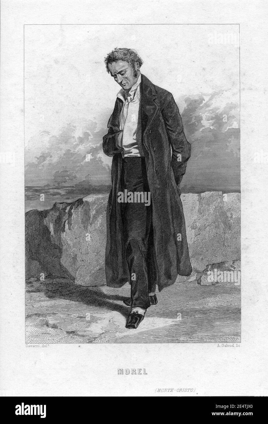 Morrel hi-res stock photography and images - Alamy