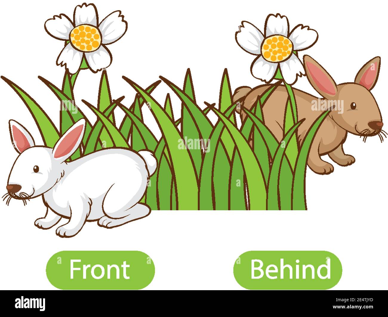 Opposite words with front and behind illustration Stock Vector Image ...