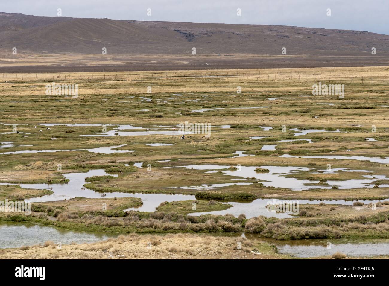 National Reserve of Salinas & Aguada Blanca in the Peruvian Andes is ...