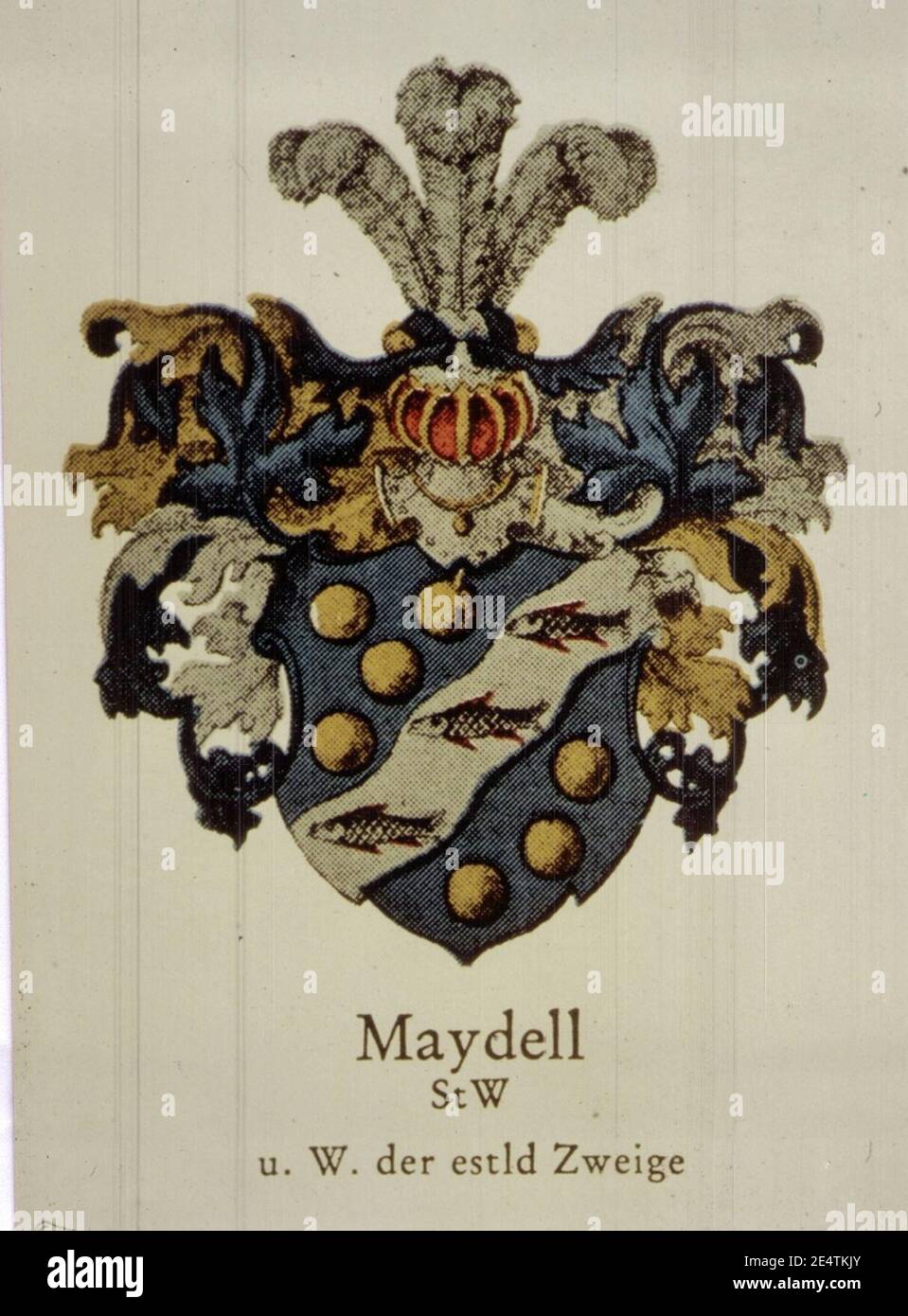Maydell hi-res stock photography and images - Alamy