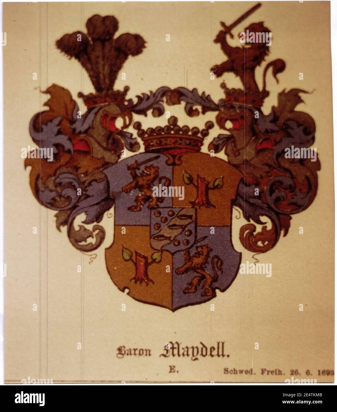 Schwed hi-res stock photography and images - Alamy