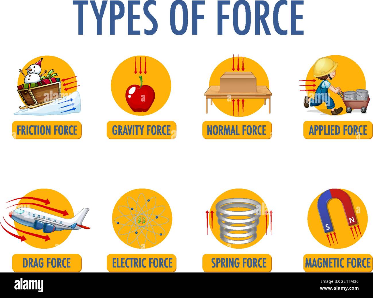 Types of force for children physics educational illustration Stock ...