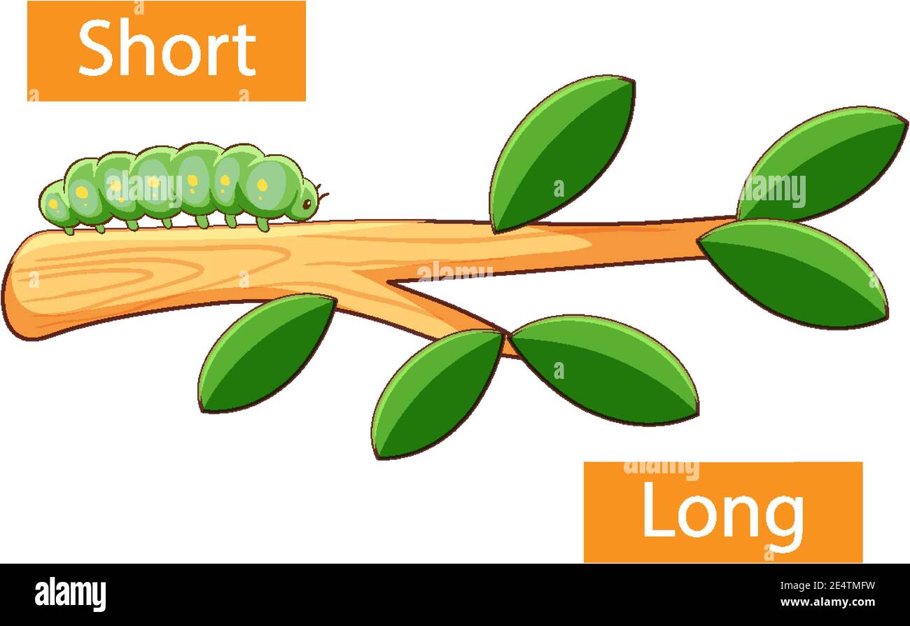 Opposite adjectives words with short and long illustration Stock Vector ...
