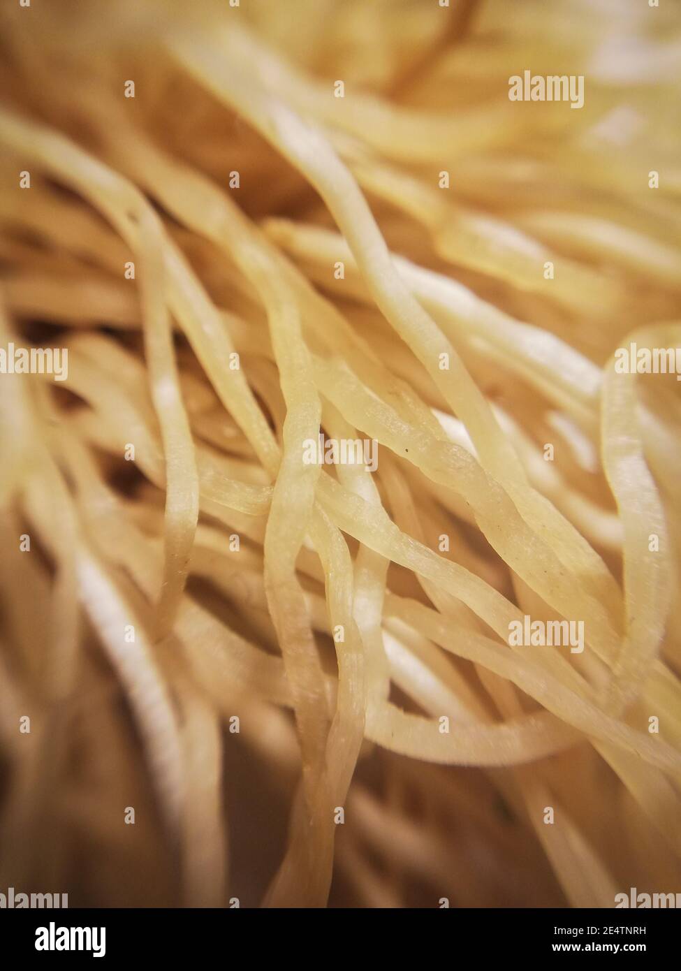 Hair of a leak in close-up. Group of objets, food, still life ...