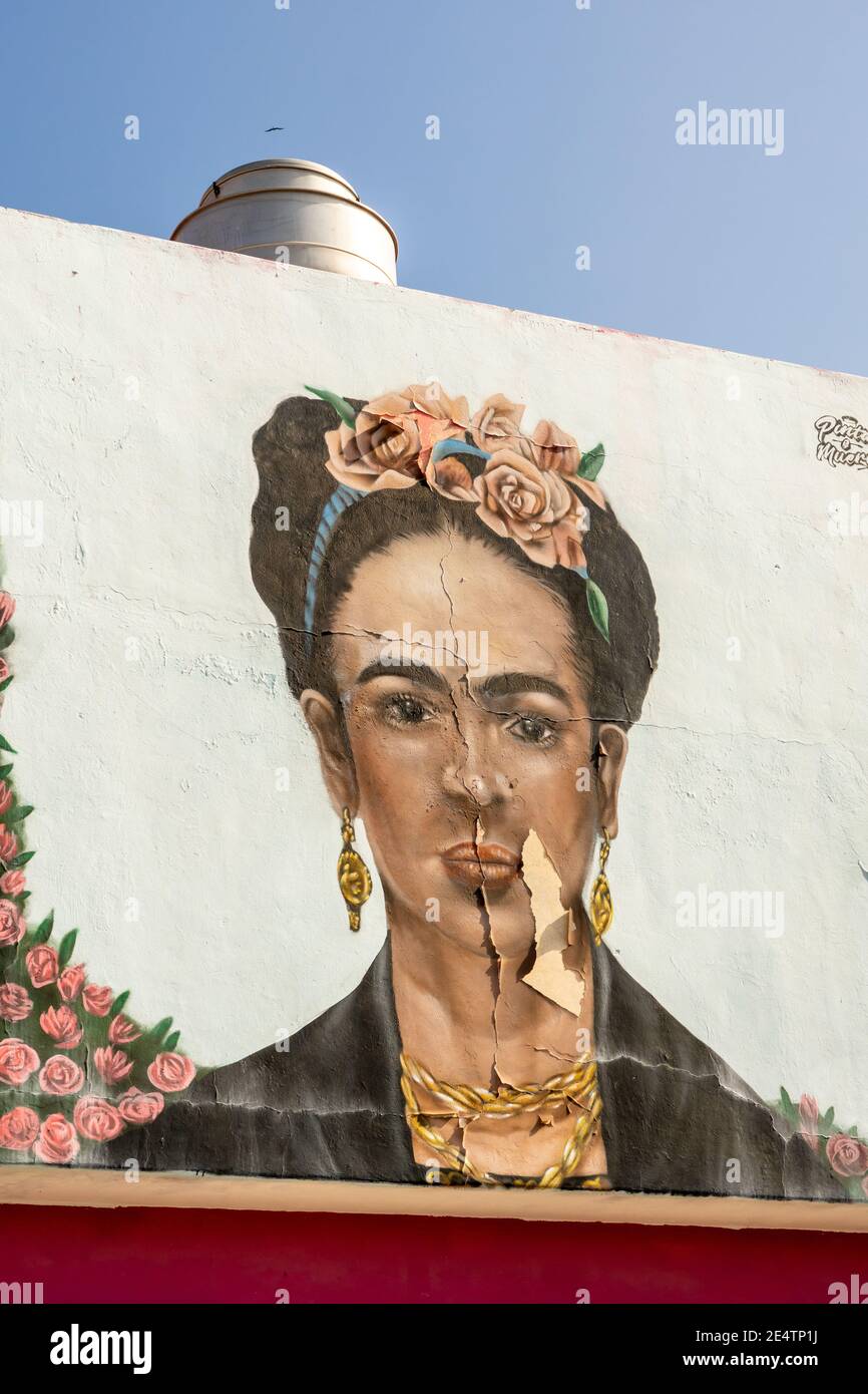 Unibrow hi-res stock photography and images - Alamy