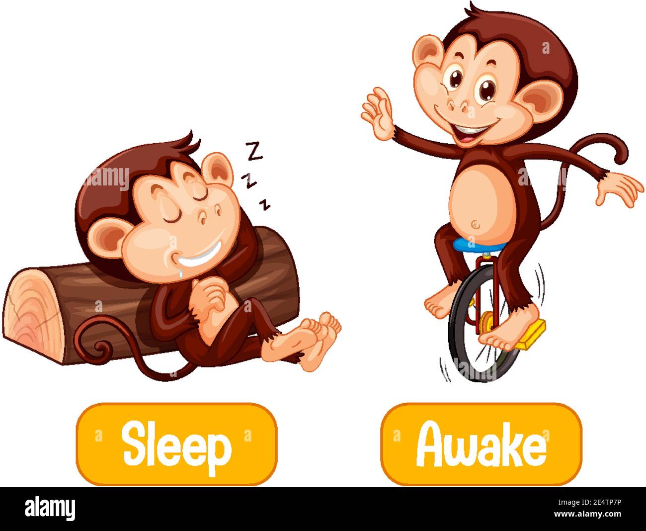Opposite words with sleep and awake illustration Stock Vector Image ...