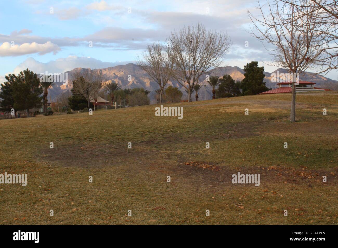 Simple goose hi-res stock photography and images - Alamy