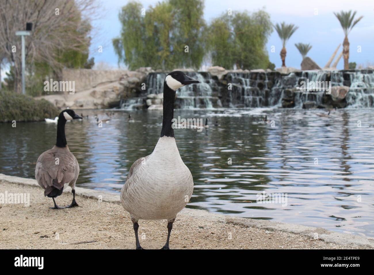 Simple things hi-res stock photography and images - Alamy