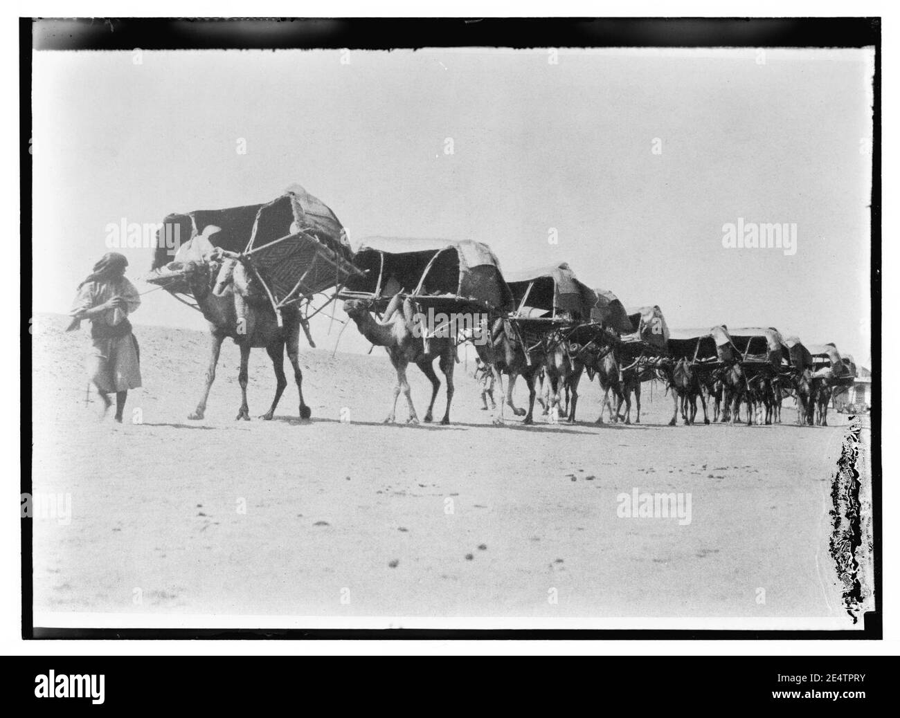 Mecca, ca. 1910. Camel caravan of pilgrims to Mecca Stock Photo - Alamy
