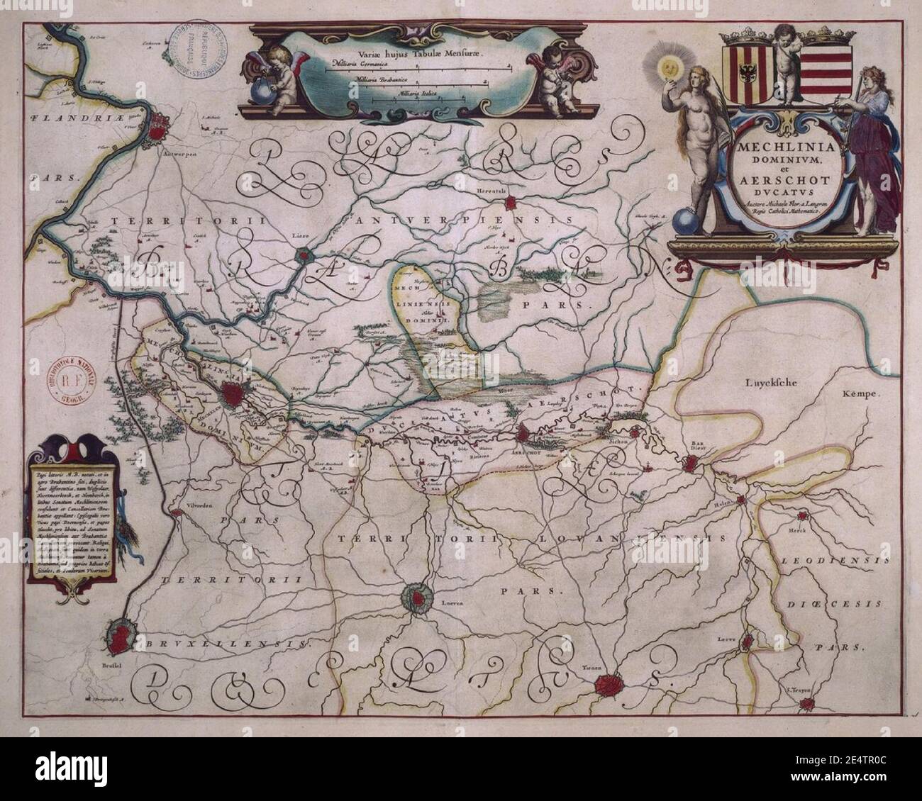 Mechlinia hi-res stock photography and images - Alamy