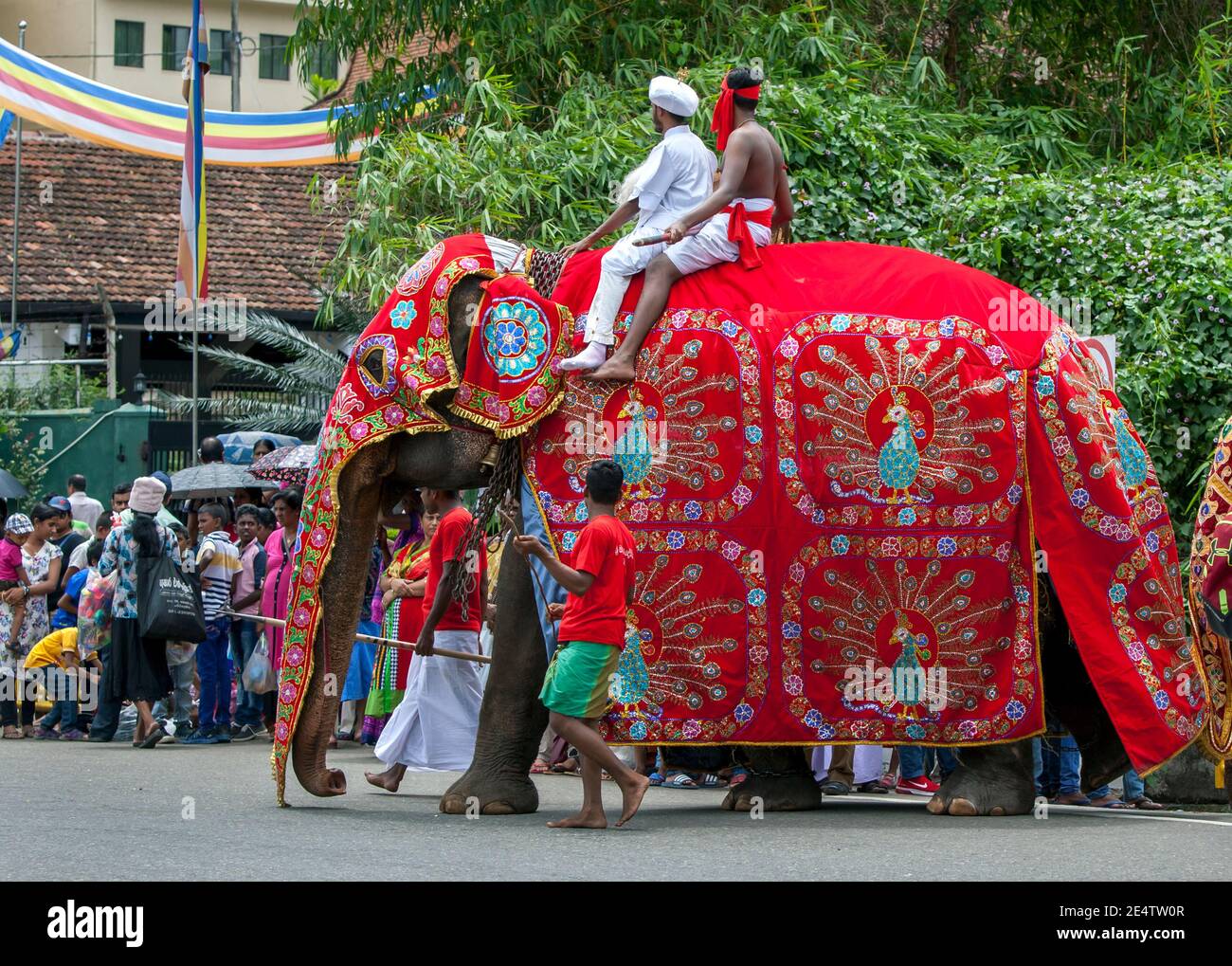 A ceremonial elephant is lead through a crowd of people prior to the ...