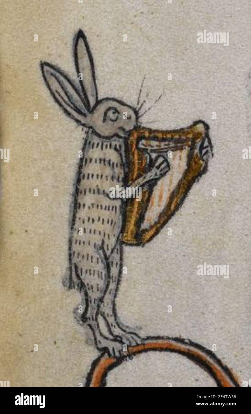 Medieval rabbits (2 Stock Photo - Alamy