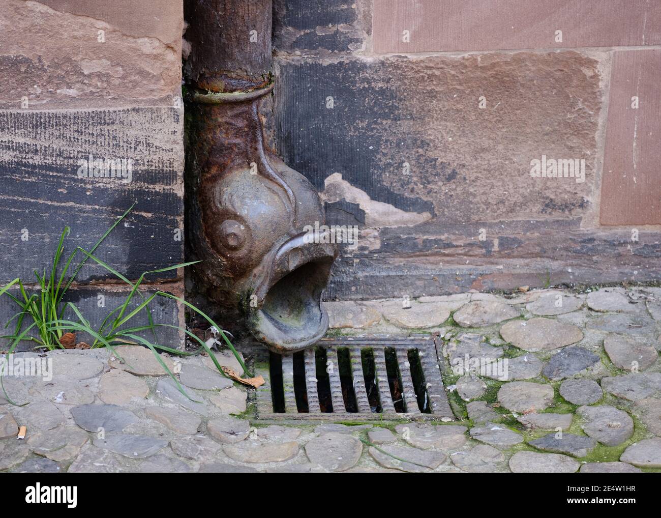 Ancient rain gutter downspout in rusted metal in shape of the head of a ...