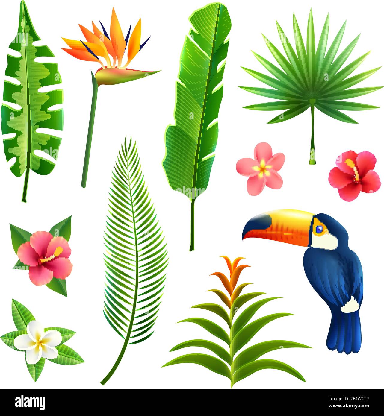 Tropical gardens leaves and flower set with toucan bird isolated vector ...