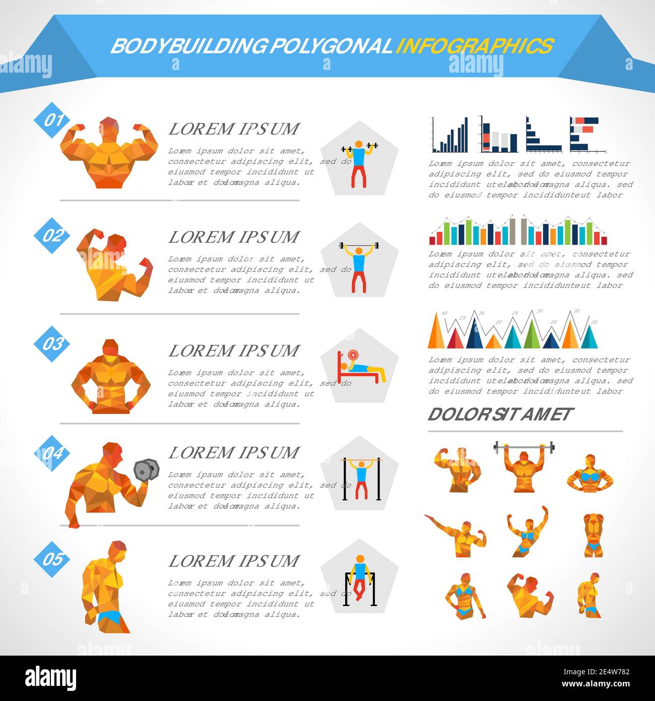 Bodybuilding polygonal infographics with male and female figures and ...