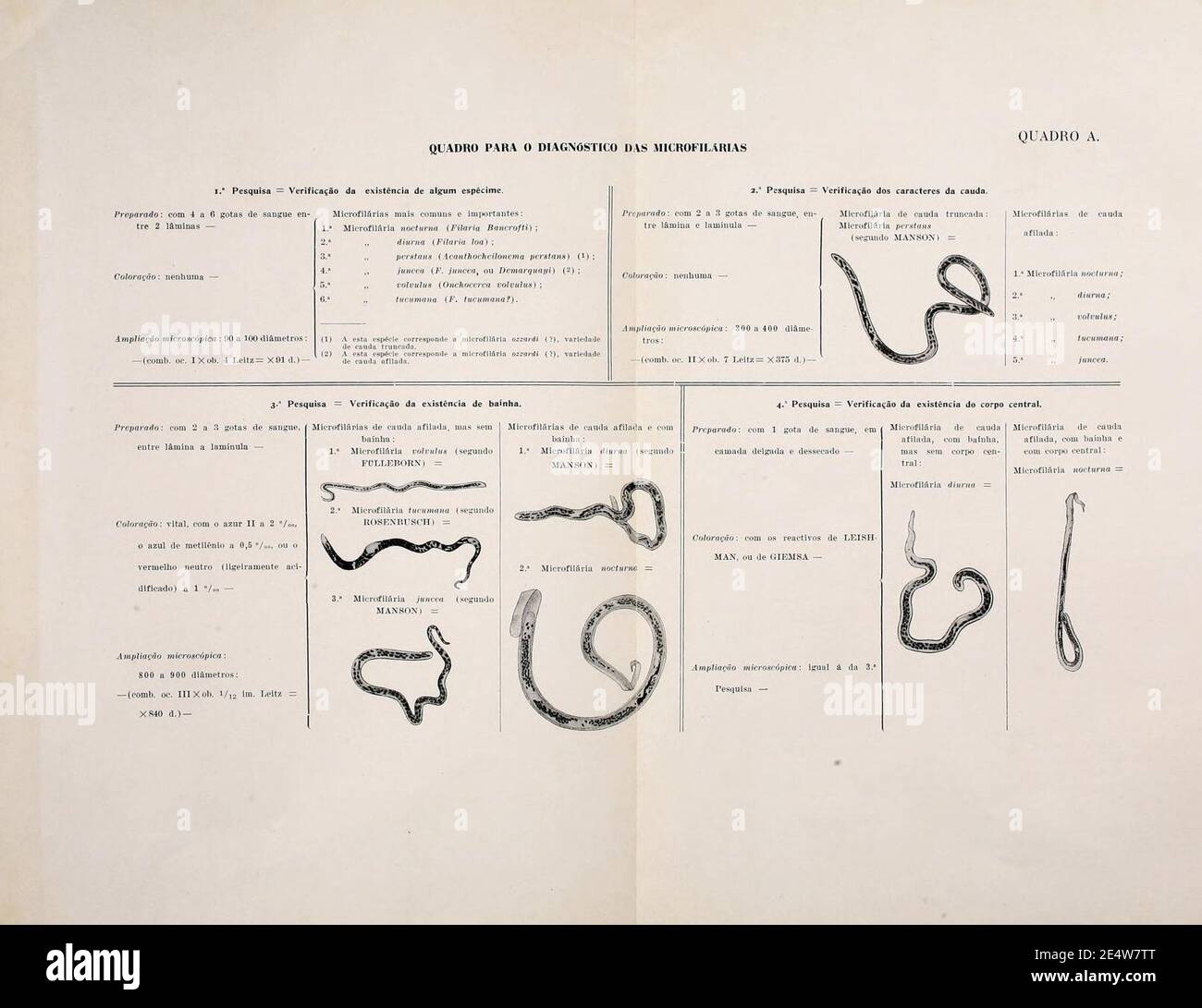 The instituto butantan hi-res stock photography and images - Alamy
