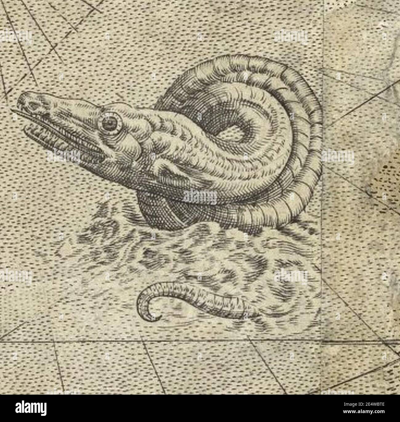 Mercator 1569 world map detail monster Stock Photo - Alamy