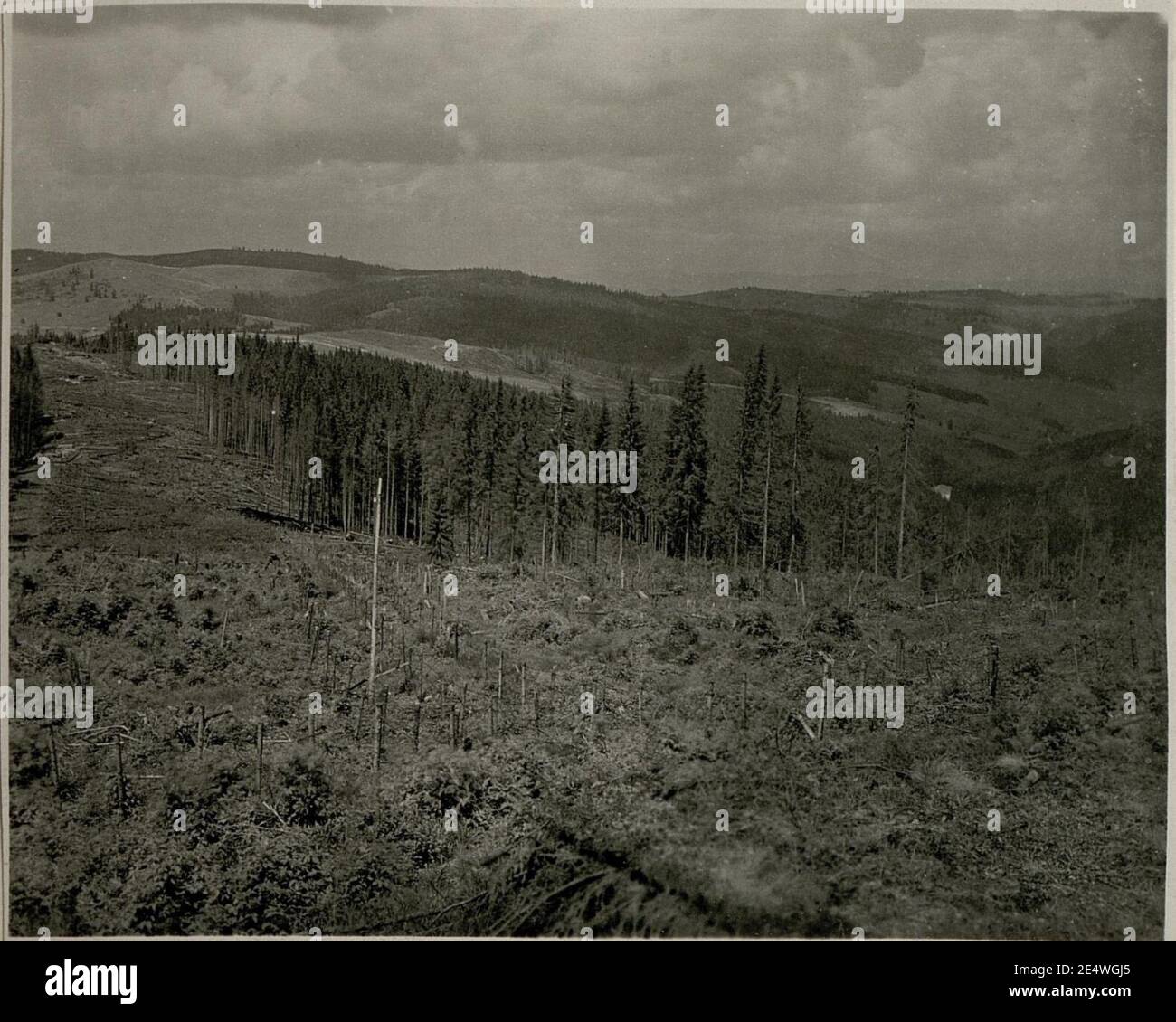 Mestiecanescie und Valeputna Stock Photo - Alamy