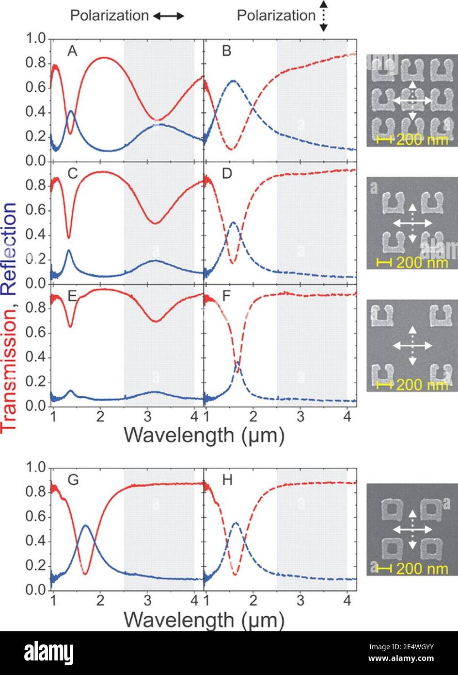 Terahertz Astronomy