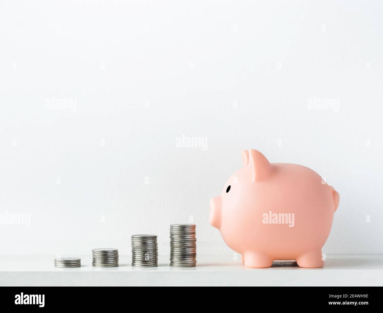 Cute Piggy Bank Side View