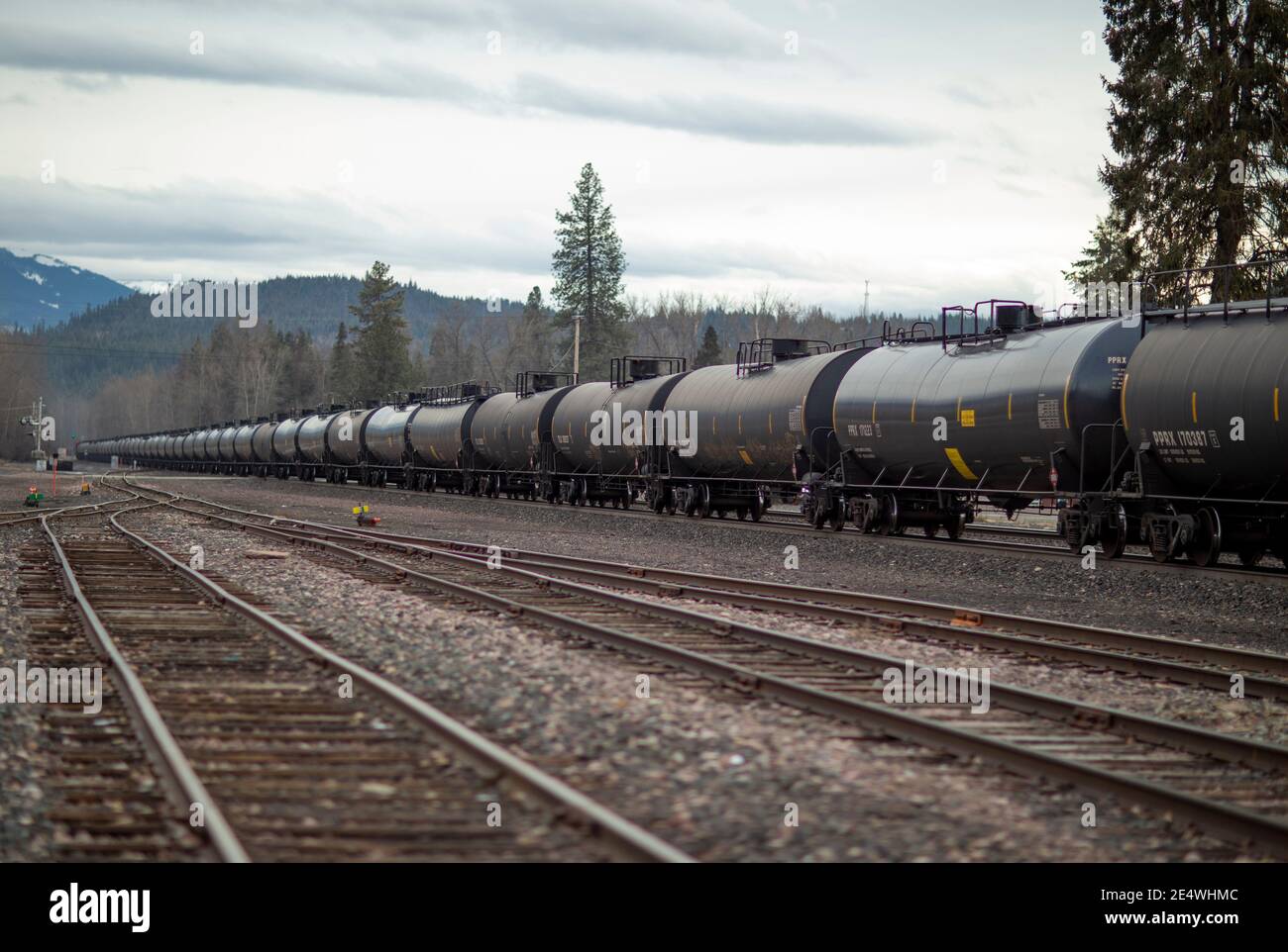 A line of DOT-111 railroad tanker cars, on the tracks at the BNSF train ...
