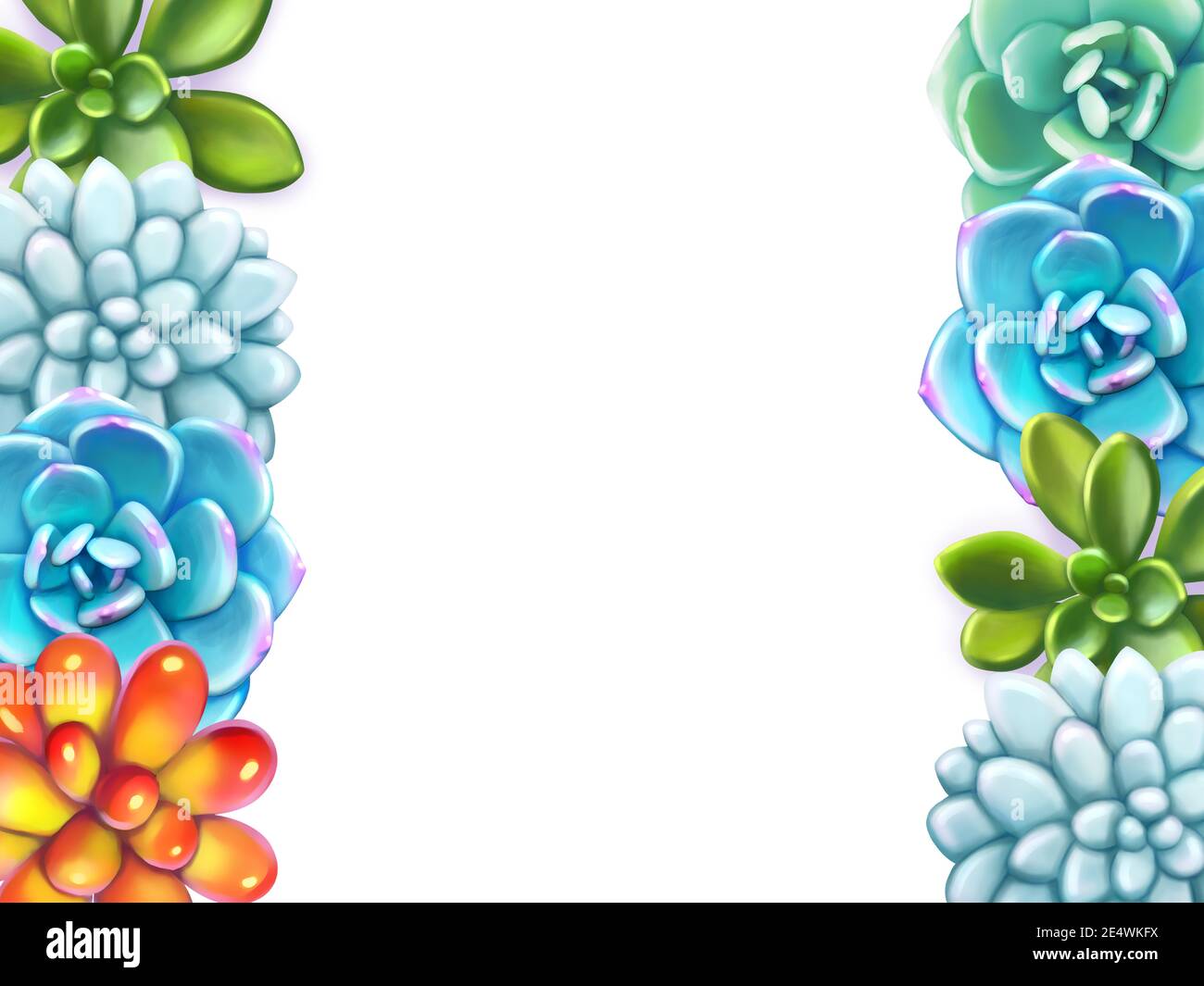 Floral Border. Succulents arranged un a shape of frame Stock Photo - Alamy