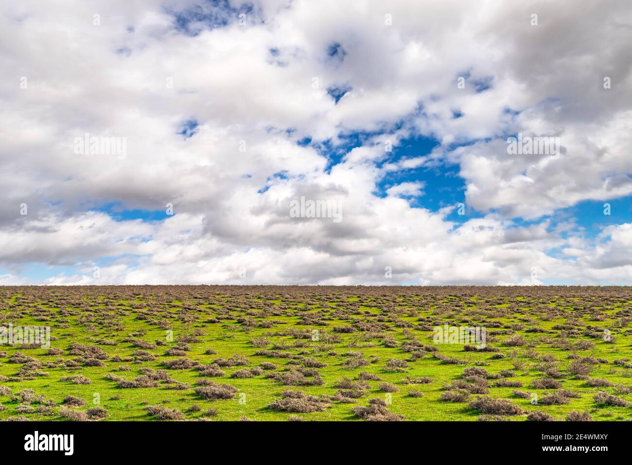 Endless green grass hi-res stock photography and images - Alamy