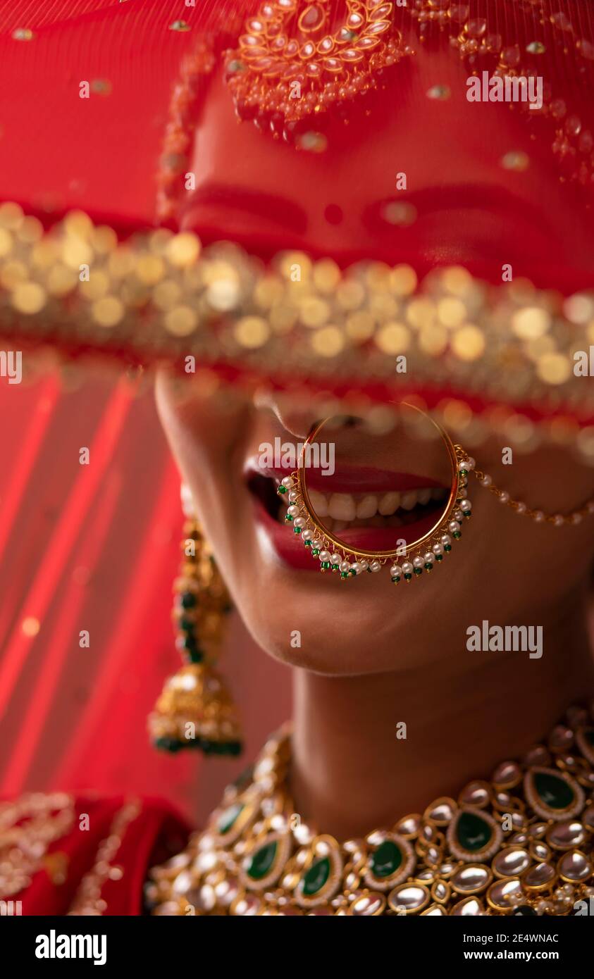 Beautiful Indian Bride, with a veil Stock Photo - Alamy