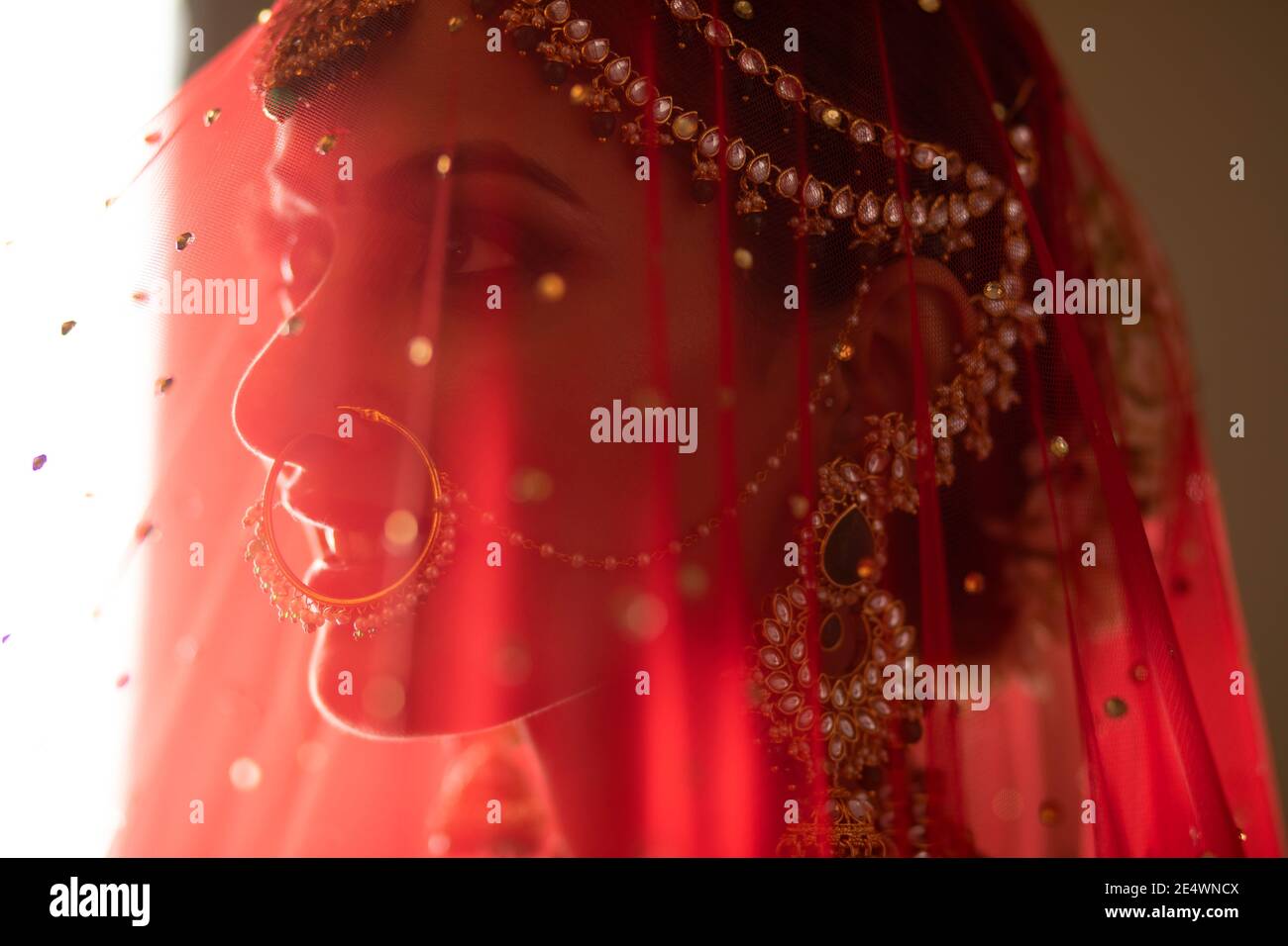 Beautiful Indian Bride, with a veil Stock Photo - Alamy