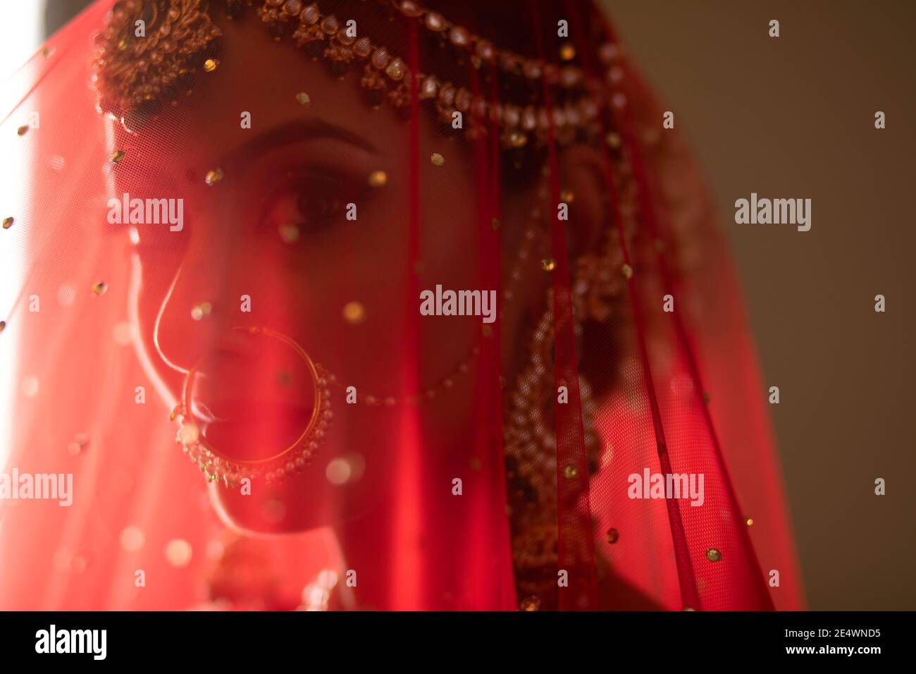 Beautiful Indian Bride, with a veil Stock Photo - Alamy