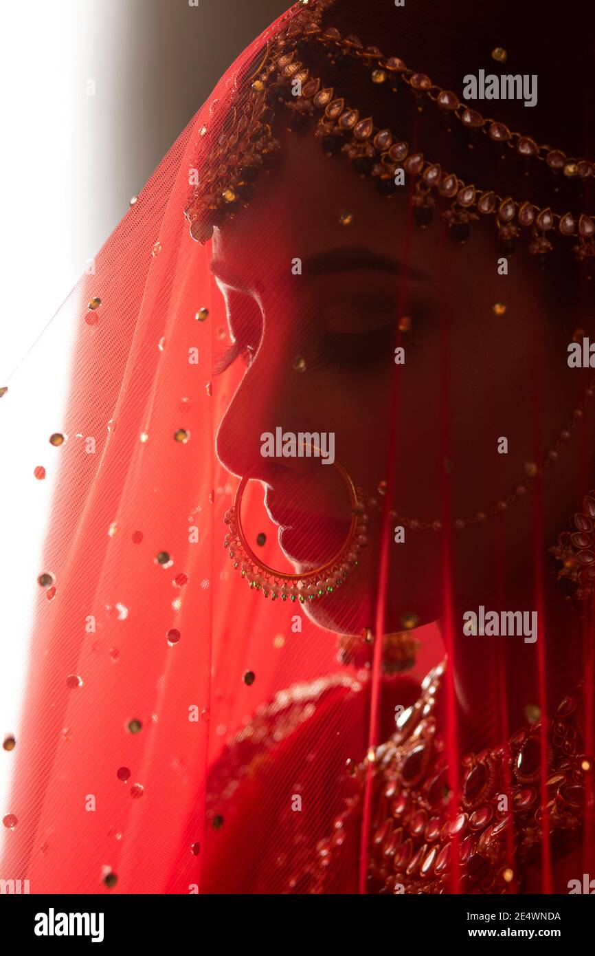 Beautiful Indian Bride, with a veil Stock Photo - Alamy