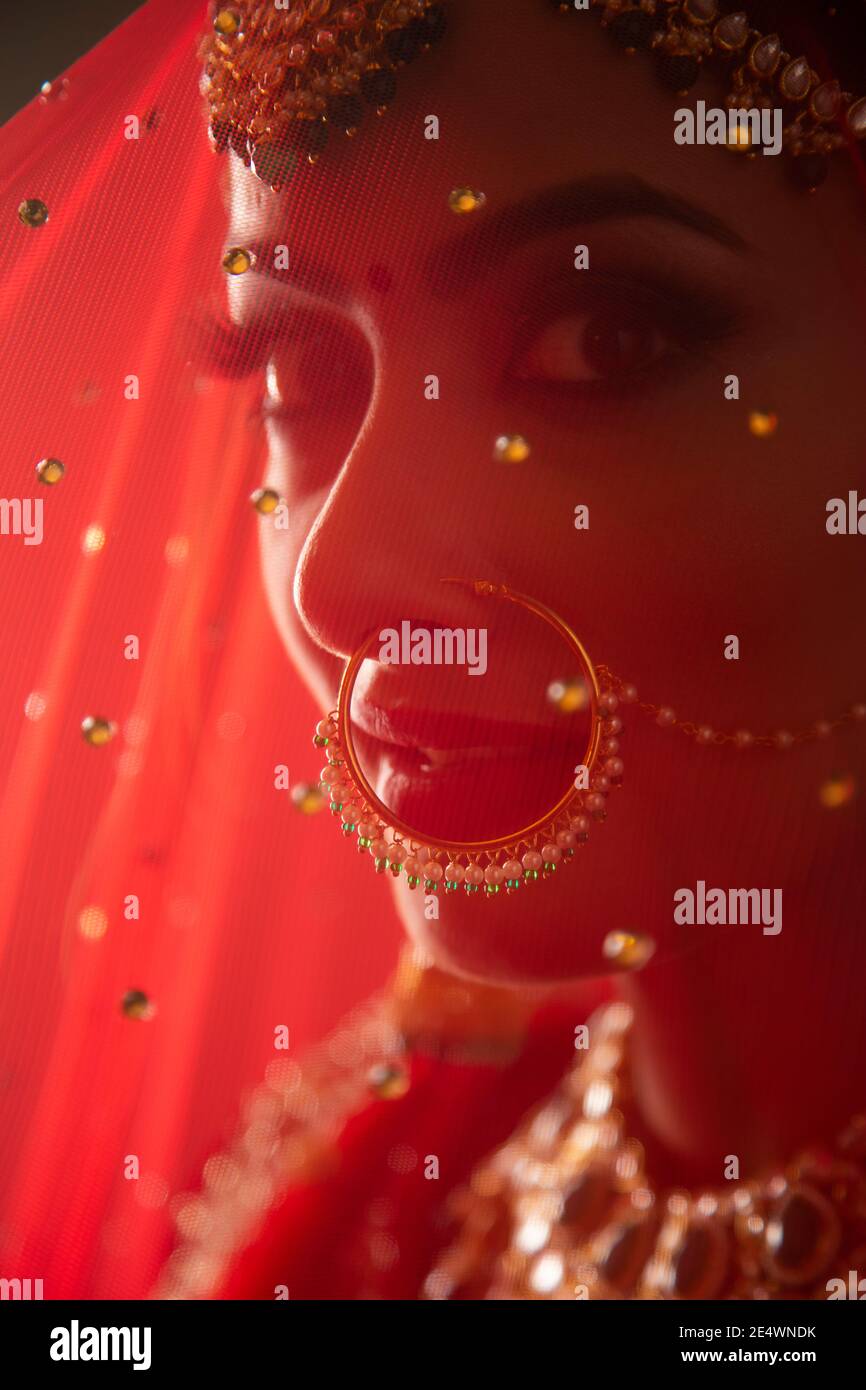 Beautiful Indian Bride, with a veil Stock Photo - Alamy